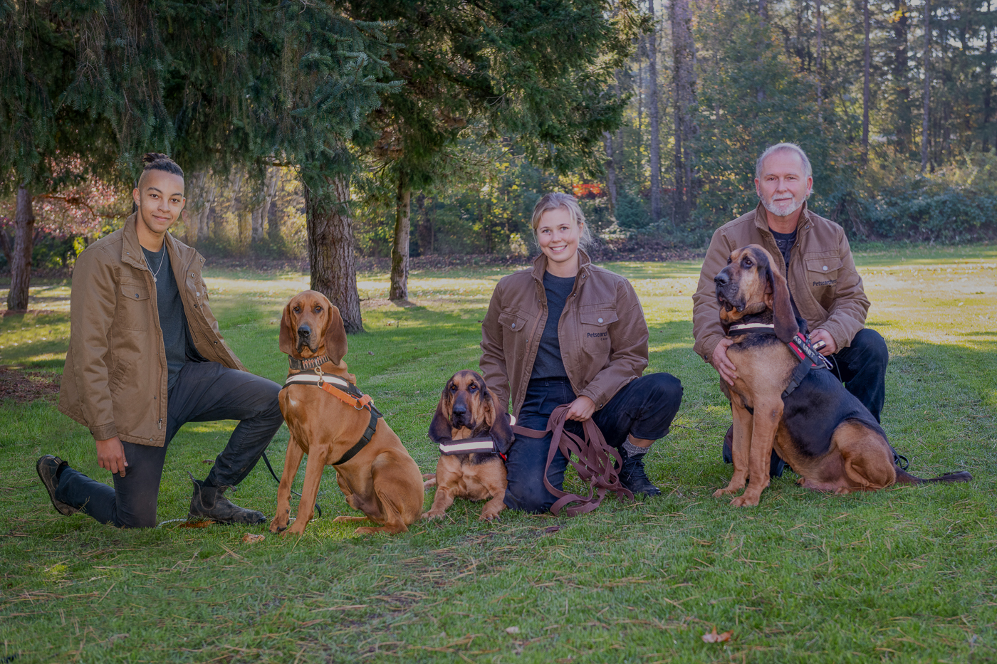 Cat Searches – Petsearchers Canada